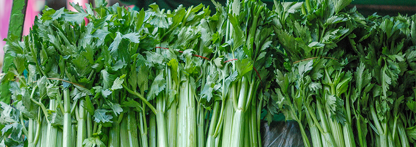 Apio - FIT6 de Nutricode.